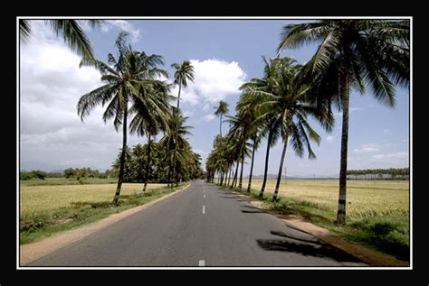 Theni Road To Kumily Via Theni Riju K Flickr