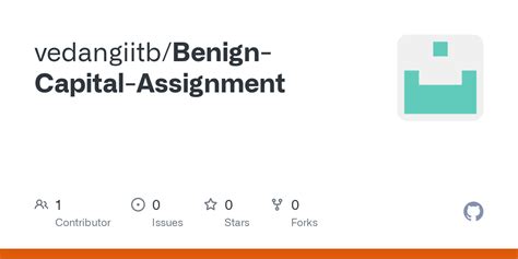 Github Vedangiitb Benign Capital Assignment