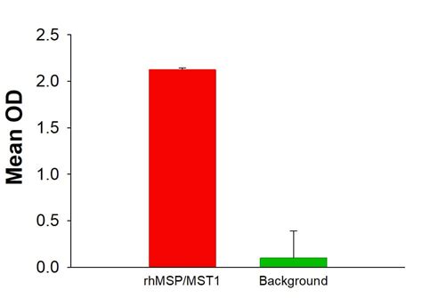 Recombinant Human Mspmst1 Protein 352 Ms 010 Randd Systems