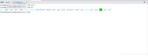 图文详细讲解 使用intellij Idea连接阿里云服务器 Linux Ecs 并且传输文件intellij Idea如何连接服务器 Csdn博客