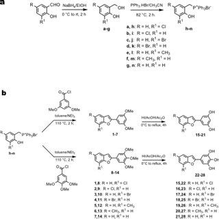 Protocol For Synthesis Of Compounds A Scheme B Scheme Download Scientific Diagram