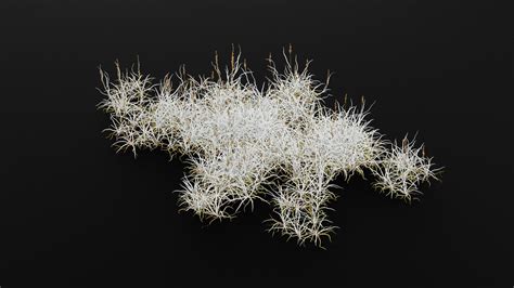 Plants Grass Patch 3d Model By Botanicraft3d