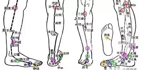 小白自学中医，治病救急常用穴位—— 五腧穴”（精华版）三阳