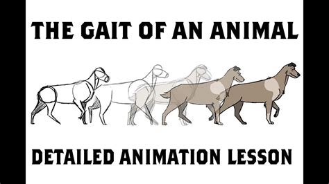 ПОХОДКА ЖИВОТНОГО ПОДРОБНЫЙ УРОК ПО АНИМАЦИИ Youtube