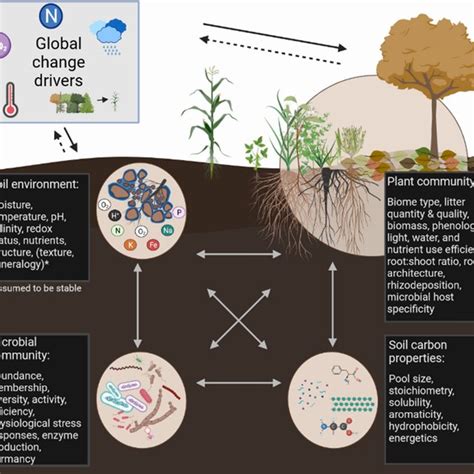 A Conceptual Illustration Of Interacting Components Demonstrating How