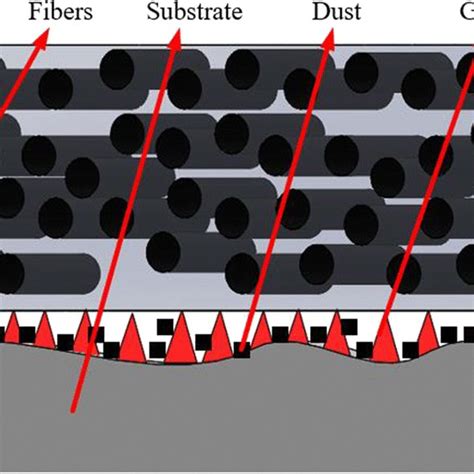 Schematic Diagram Of The Adhesion Process Download Scientific Diagram