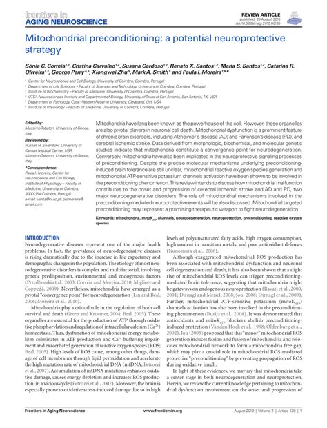 PDF Mitochondrial Preconditioning A Potential Neuroprotective Strategy