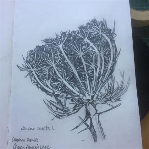 Terry Singleton Art On Tumblr