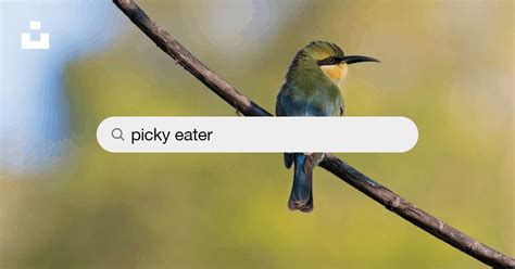 Picky Eater Pictures Download Free Images On Unsplash
