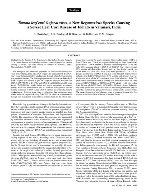 Pdf Tomato Leaf Curl Gujarat Virus A New Begomovirus Species