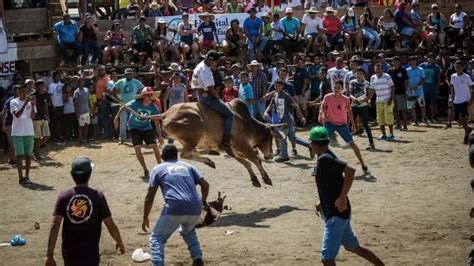 13 Top Festivals In Costa Rica Special Places Of Costa Rica