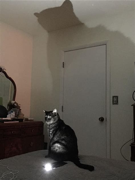 Cursed Shadow Scrolller