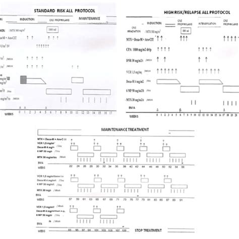 Treatment Protocols According To Risk Download Scientific Diagram