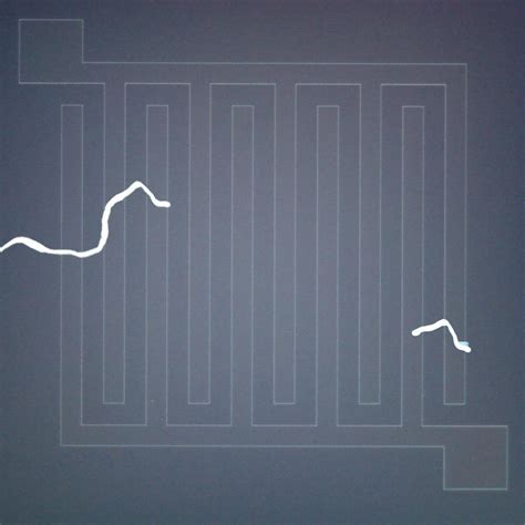 last datasets object detection dataset by yongjiyeong