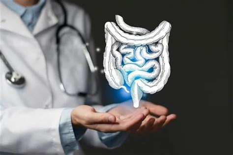 Care Este Legătura între Microbiomul Intestinal și Demență