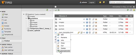 Typo3 Templavoila Template Object And Data Structure