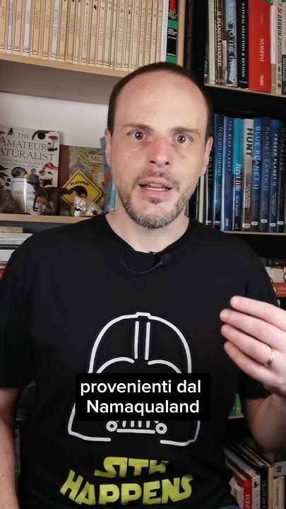 I Termitai Più Antichi Youtube