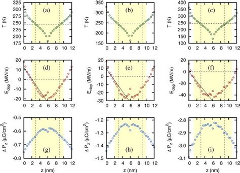 The Temperature Top Row Depolarizing Field Middle Row And The