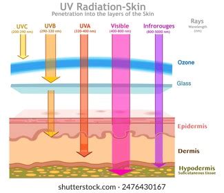 Ultraviolet Light Sunlight