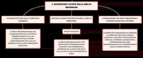 Le Aree Di Brodmann E La Loro Importanza Nella Neuroanatomia Algor Cards