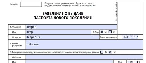 Образец правильного заполнения заявления о выдаче загранпаспорта 96 фото