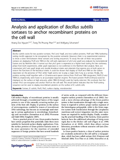 Pdf Analysis And Application Of Bacillus Subtilis Sortases To Anchor Recombinant Proteins On