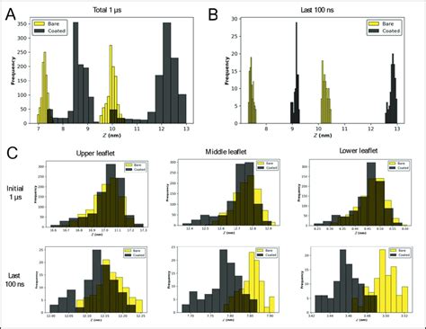 Slb Model Exhibit Unrealistic Headgroup Fluctuations Distribution For