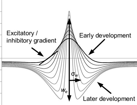 the spatial precision hypothesis download scientific diagram