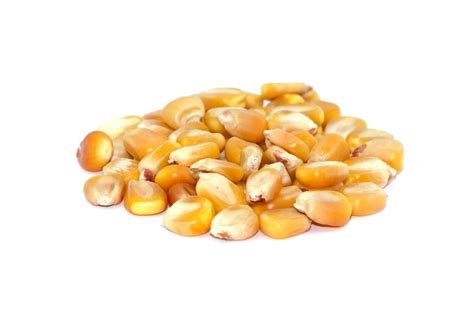 Glyphosate Tolerant Dwarf Corn Seed For Wildlife 80000 Seed Bag