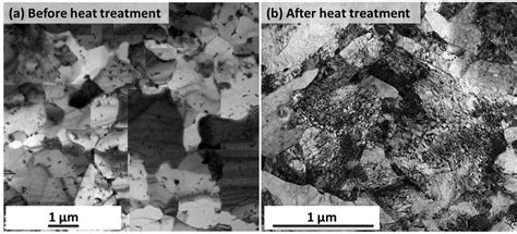 2 Bf Tem Micrographs Revealing A Ferritic Microstructure After