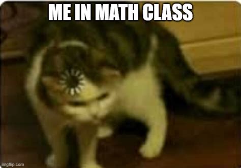 Cat Math Memes