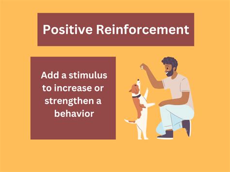 Unconditioned Stimulus Definition And Examples