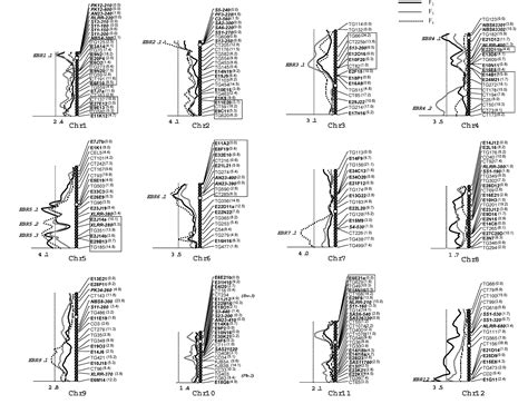 A Linkage Map Of The 12 Tomato Chromosomes Constructed Based