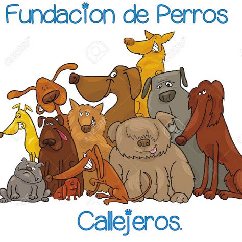 Fundación De Perros Callejeros Youtube