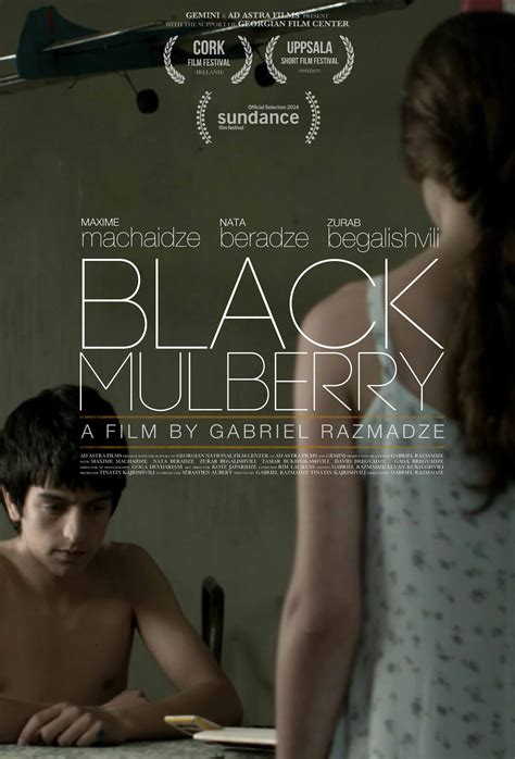 ქართული ფილმები Qartuli Filmebi