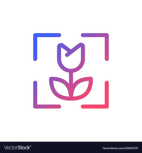 macro photo mode pixel perfect gradient linear ui vector image