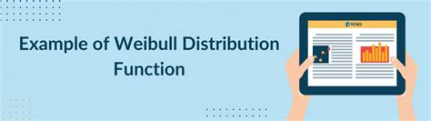 Weibulldist Function How To Use Excel Weibull Distribution Wall Street Oasis