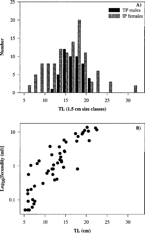 Sparisoma Radians A Sex Size Distribution On Patch Reef Habitats Download Scientific Diagram