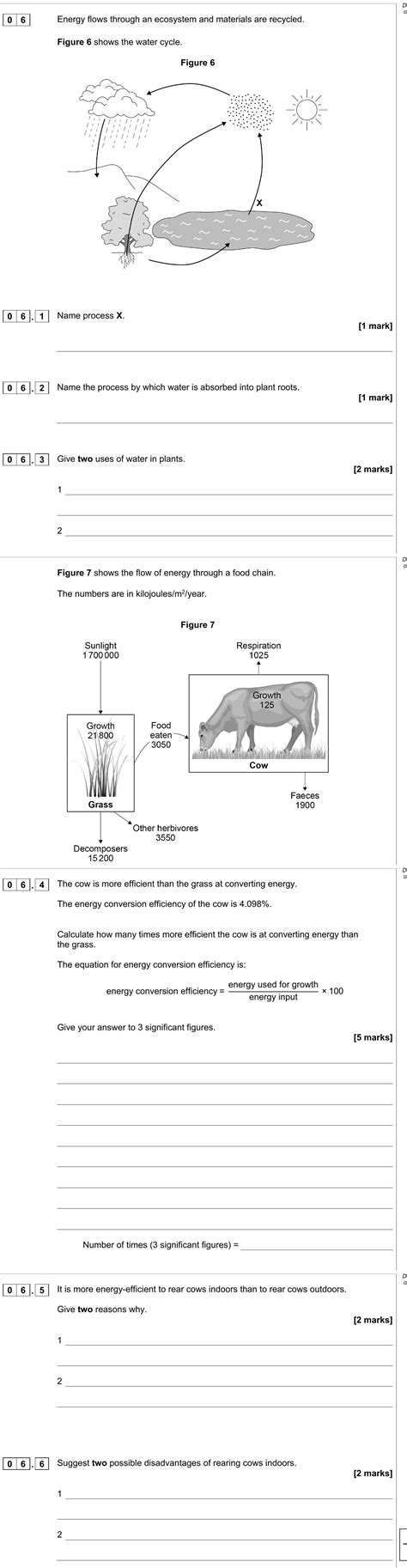 Gcse Aqa Biology 74 Trophic Levels In An Ecosystem Energy Flows