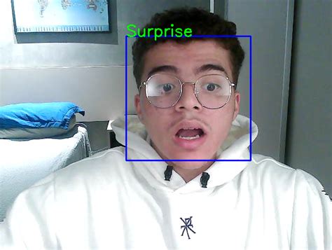 GitHub Joaopdss FacialExpressionRecognition