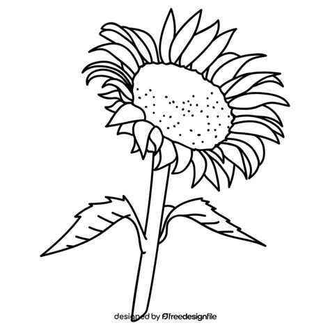 Sunflower Plant Clipart Black And White