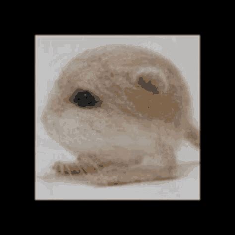 Mouse Meme  Mouse Meme Cube Descubrir Y Compartir S