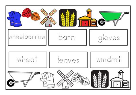 Autumn Label Colour Match Worksheets Teaching Resources
