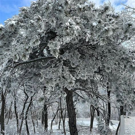 Ps字体缺失怎么办：快速解决字体丢失问题指南系统文件方法