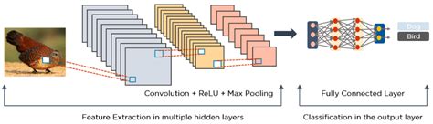 Comprendere Le Reti Convoluzionali Lenet Deep Learning Italia