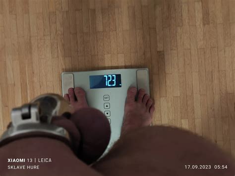 Weighing Cage Check Plug Check 09172023 16 Nude Pics Xhamster Weighing Cage Check Plug Check 09172023 16 Nude Pics Xhamster