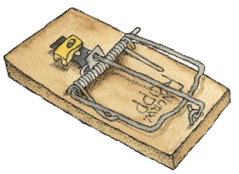 Irreducible Complexity The Nano Machinery Of Life Bio Cosmos