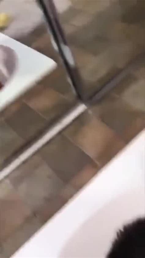 Sub Takes Alphas Load In Tub