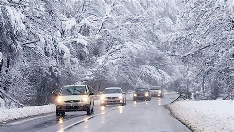 Ще преживеем климатична аномалия през зимата Новини бг