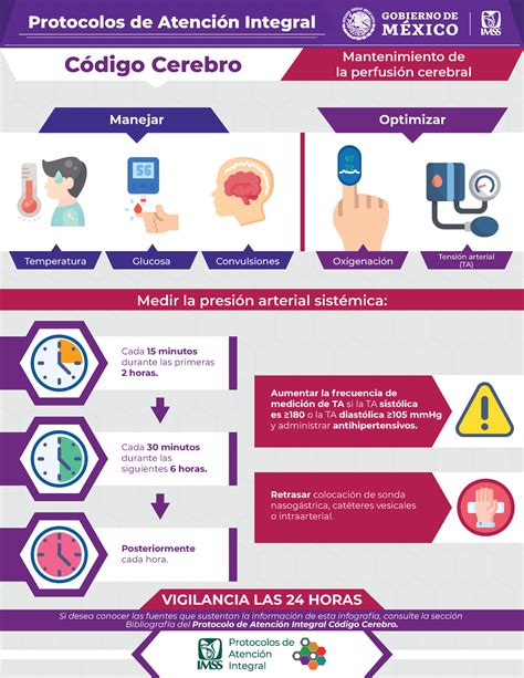 Infograf Ã­a Pai CÃ³digo Cerebro Mantenimiento Perfusi Ã³n Cerebral V1